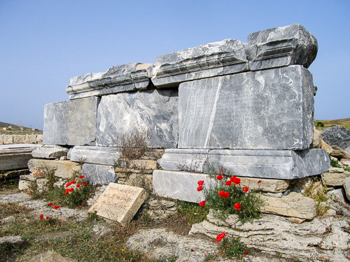 A Year in Pictures - Delos Poppies - Swan Tower